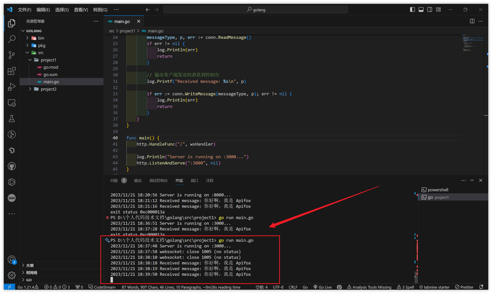 Golang 中如何实现 Websocket 通信