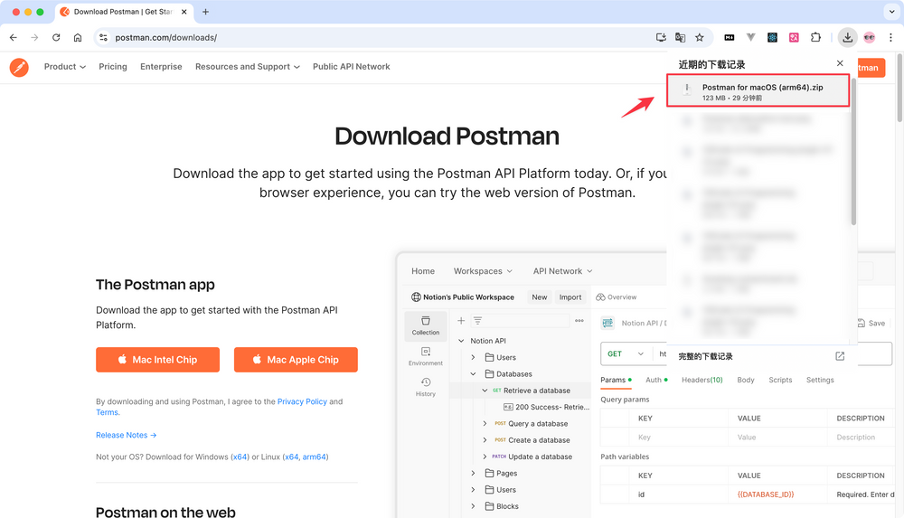 Postman 下载及安装教程(2025最新)