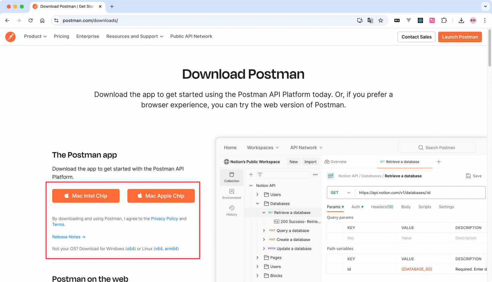 Postman 下载及安装教程(2025最新)