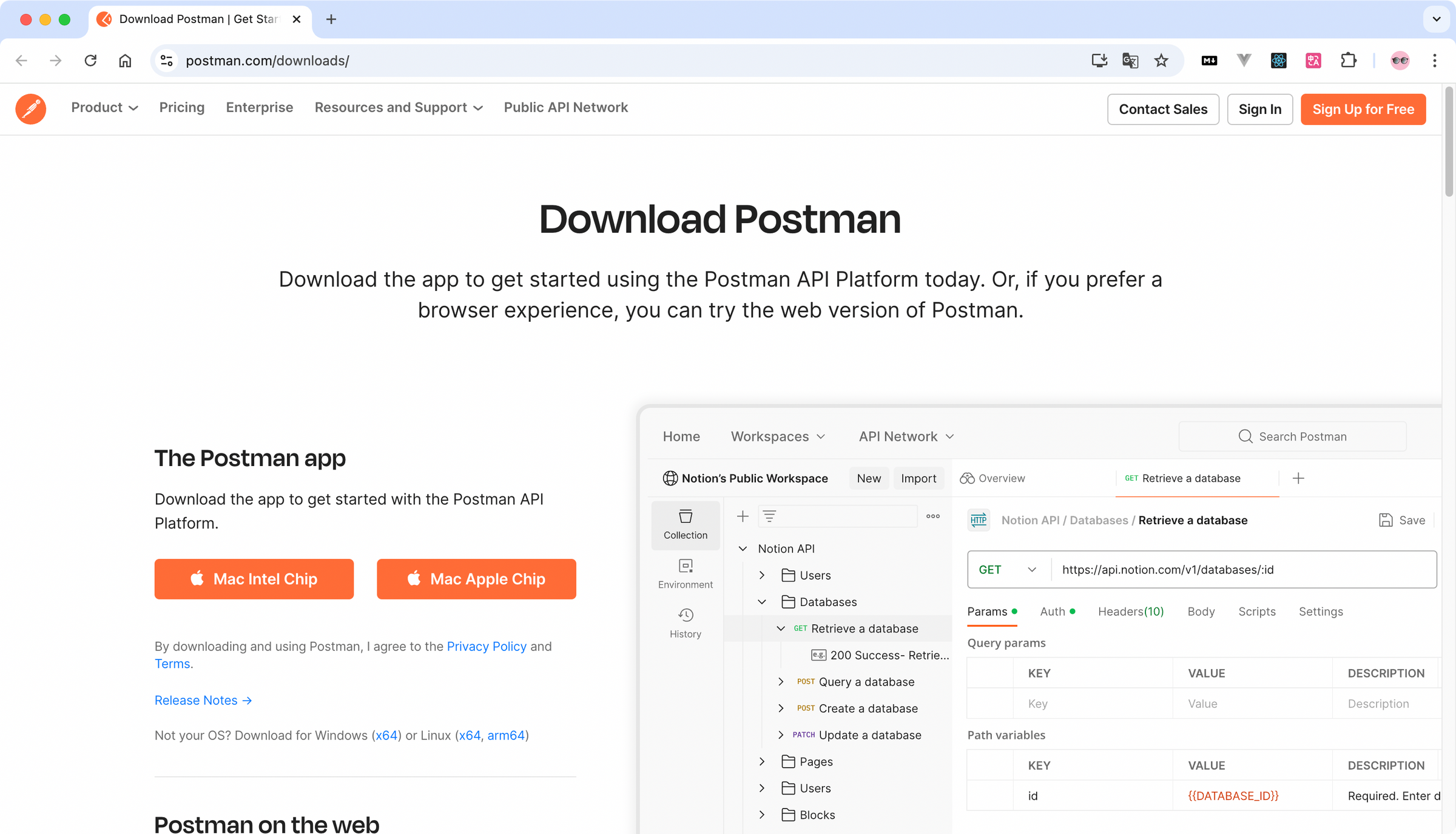 Mac 用户必看：Postman 下载与安装指南（2025 最新）