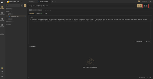 Websocket Connection Failed 如何解决