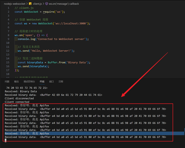 深入了解 WebSocket 的 binaryType 属性及其用法