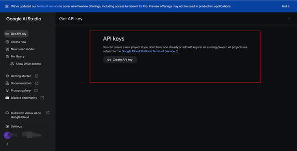 Google Gemini API 接口调用教程，图文讲解