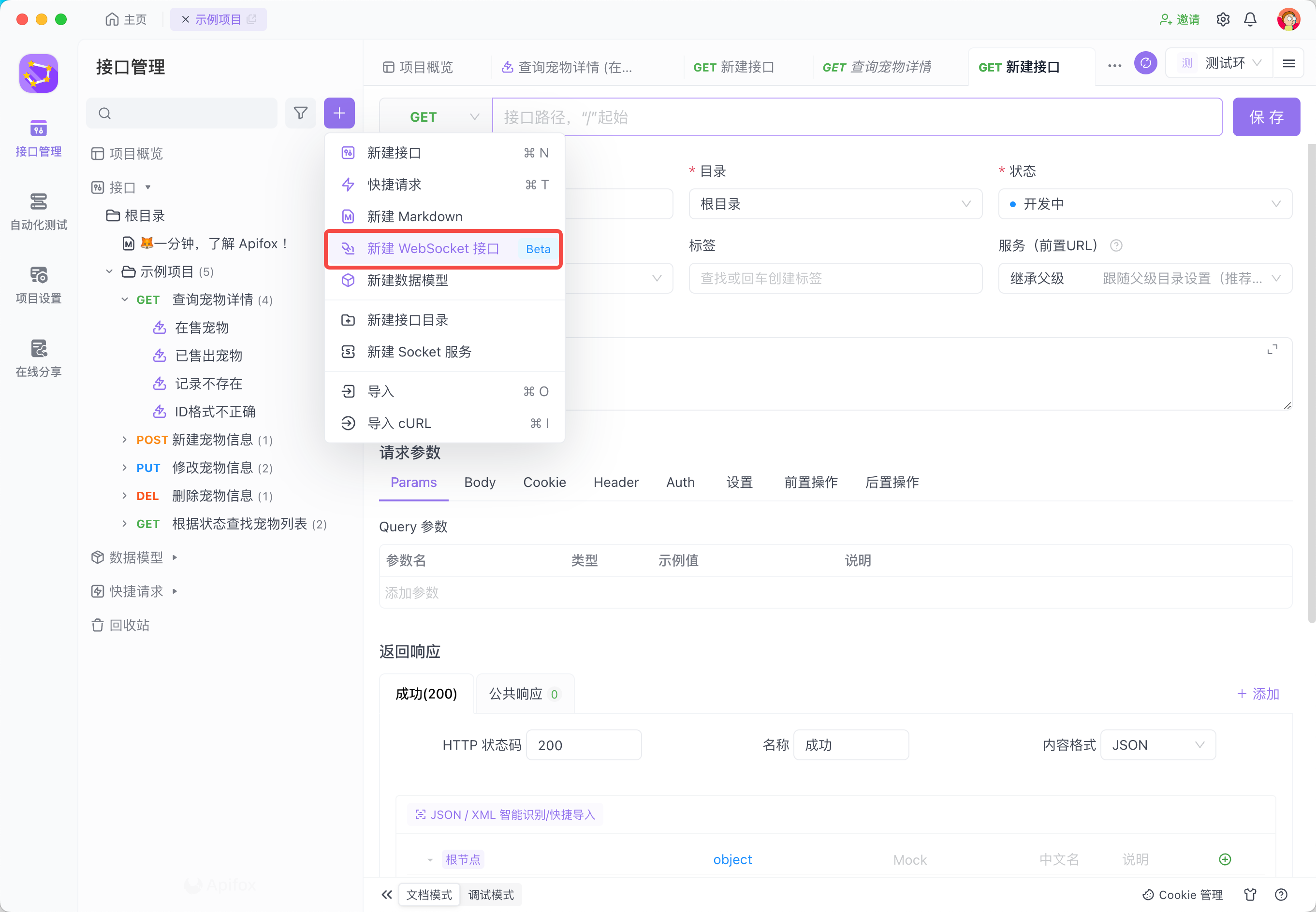 WebSocket 接口 | Apifox 帮助文档